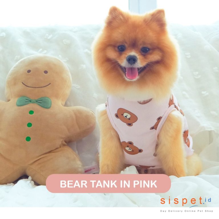 Pomapoo Bear Tank - Sispet